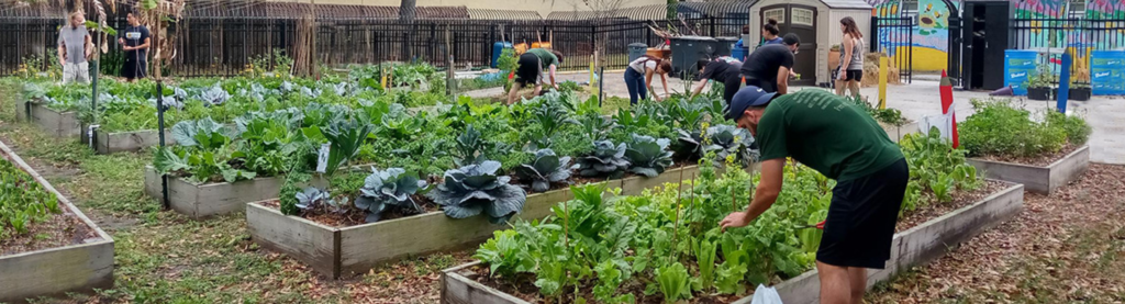 Locations - Harvest Hope Community Garden - UACDC
